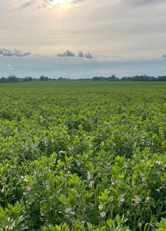 Accompagner les agriculteurs dans l'agroécologie | Agriterra